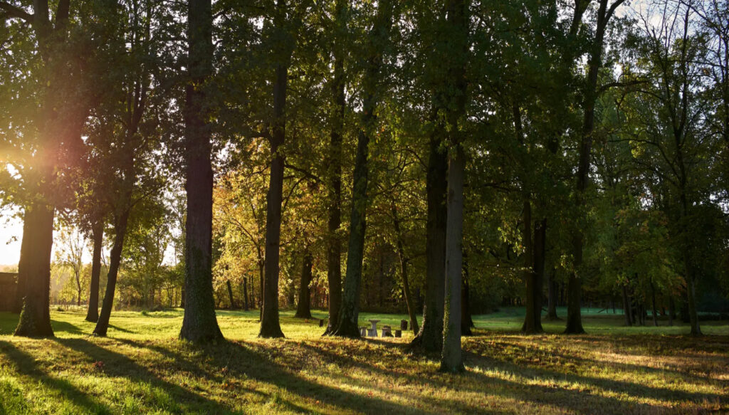 Maison Troisgros : restaurant gastronomique, hôtel